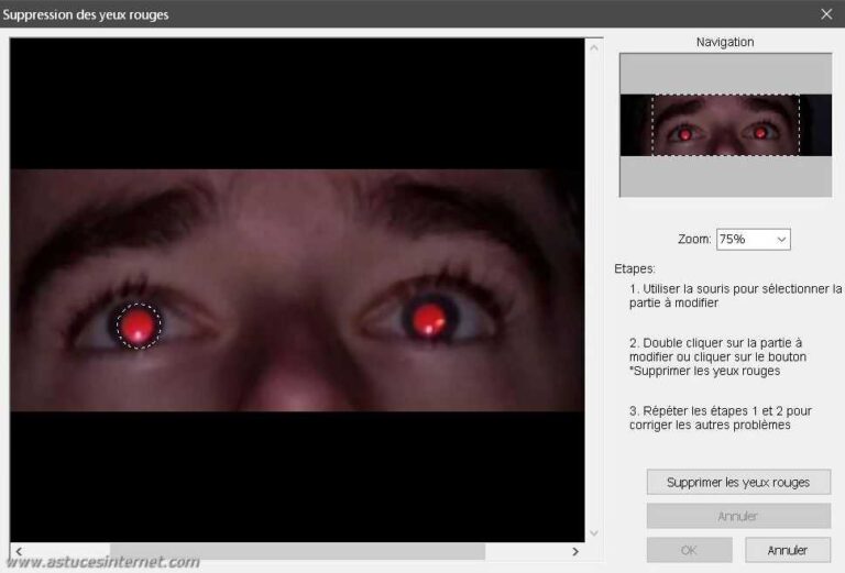 FastStone Image Viewer – L’outil Suppression des yeux rouges – ASTUCES ...